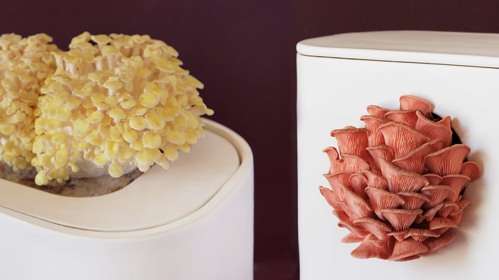 See how it works – Good Growing