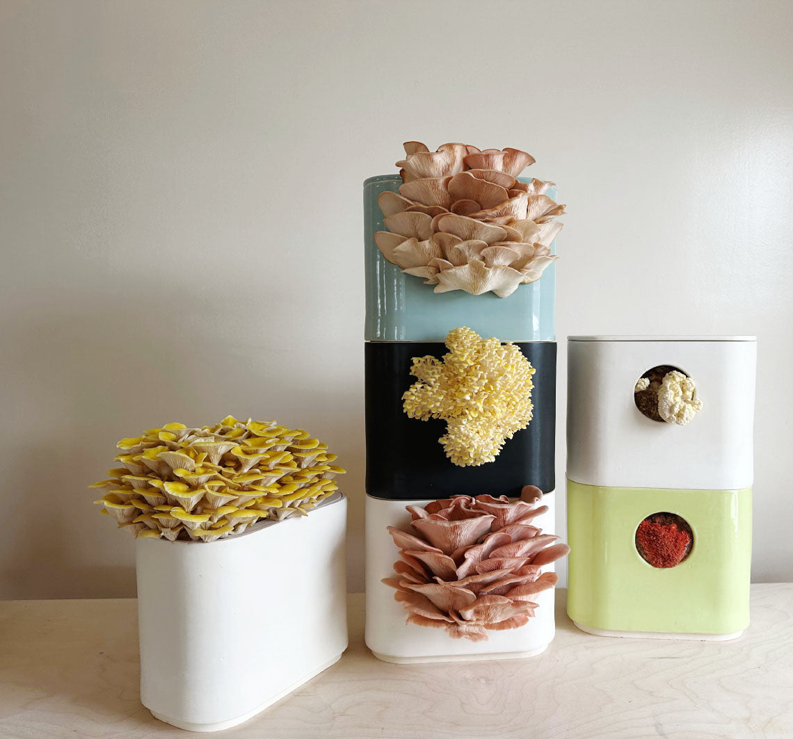 Join the Waitlist for GUS – Good Growing